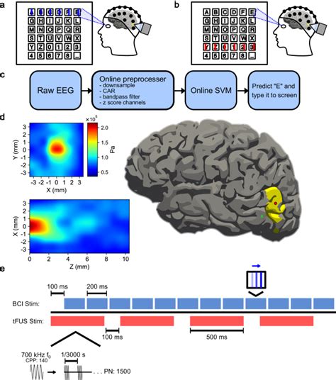Transcranial Focused Ultrasound To V5 Enhances Human Visual Motion Brain Computer Interface By