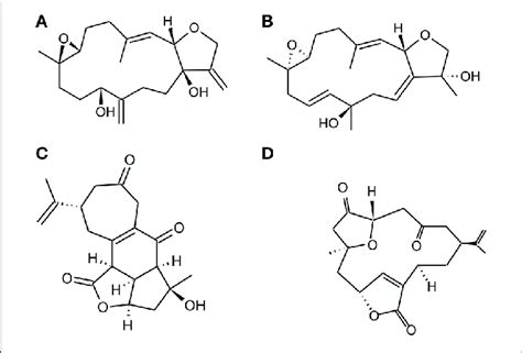 Chemical Structure Of Representative Diterpenoids Isolated From Download Scientific Diagram