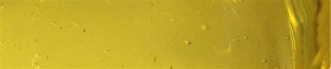 Publications The Marine Lipids Lab