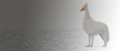 OptiMEAS Switzerland OptimEAS Entwickelt Und Produziert Intelligente