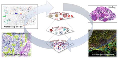 Research Professur Für Analytische Chemie