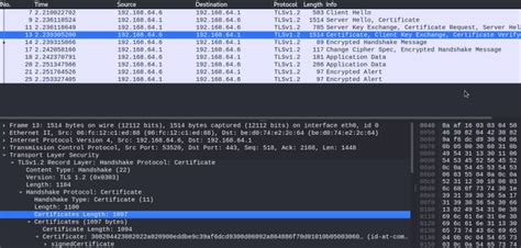 debug mtls connections using wireshark dev community