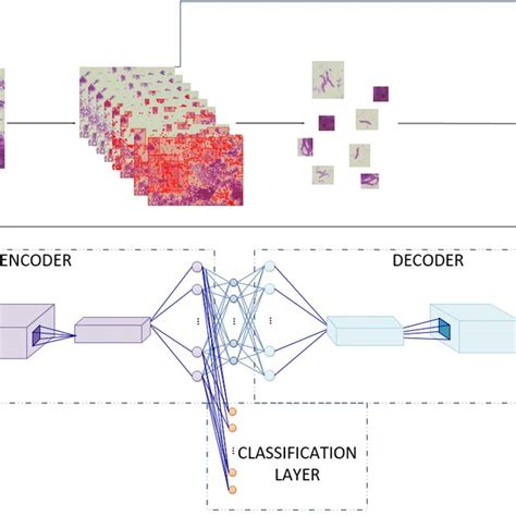 pdf encoder decoder based cnn structure for microscopic image