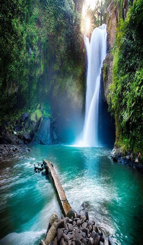 Natures Embrace Live Wallpapers To Inspire You