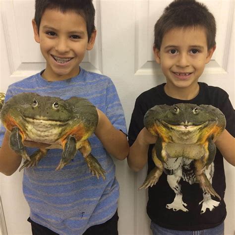 Water Python Care Guide Tips And Habitat Facts