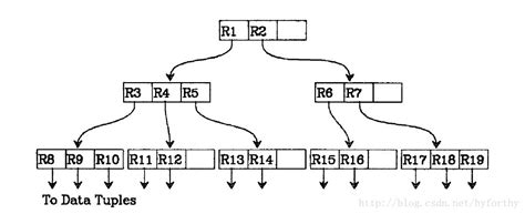 r tree索引机制 csdn博客