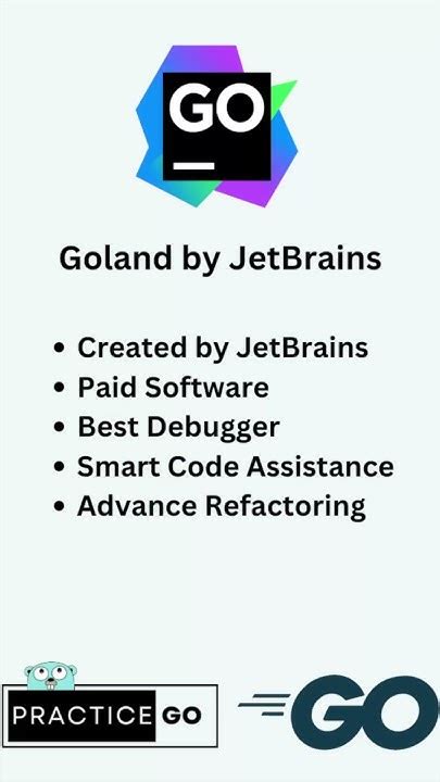 popular go ide boost your coding flow 🚀 golang shorts