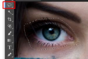 How To Duplicate A Subject In Photopea