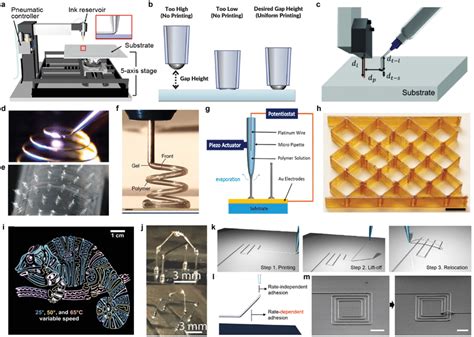 Direct Writing‐based 3d Printing A Schematic Illustration Of The 3d Download Scientific