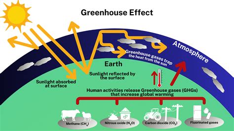 Methane Greenhouse Effect Methane Emissions From Livestock And Climate