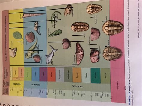Solved 1 What Index Fossils From Figure 810 Are