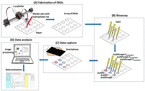 Smartphone Addressable Paper Based Devices For The Colorimetric Detection Of Ampicillin Based On