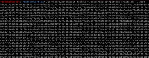 Buffer Overflows Made Easy 學習筆記 OSCP Preparation 駭客貓咪 HackerCat