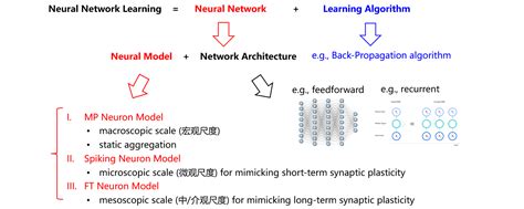 Shao Qun Zhang Homepage