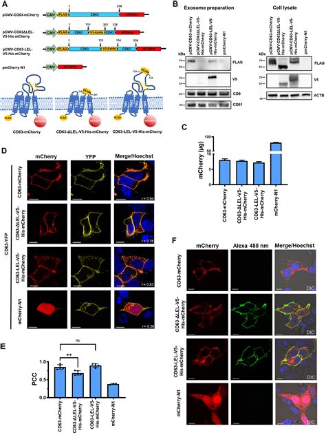 301 Moved Permanently