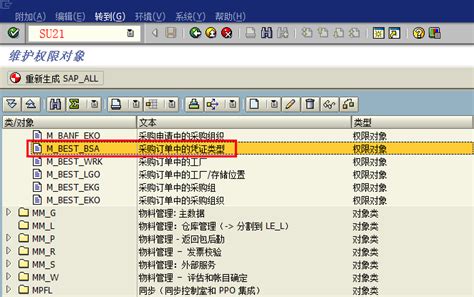 sap权限对象的校验 csdn博客