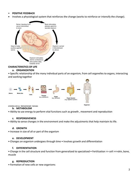 SOLUTION Cell Structure Function Anatomy And Physiology Pharmacy Studypool