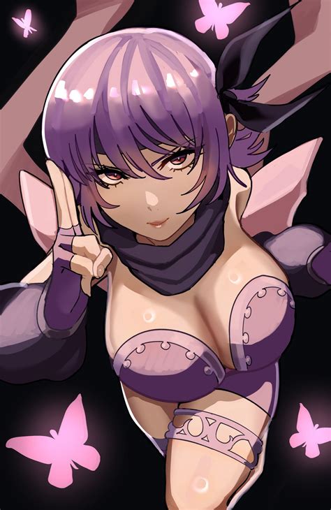 Ayane Dead Or Alive And 1 More Drawn By Ceroccb Danbooru