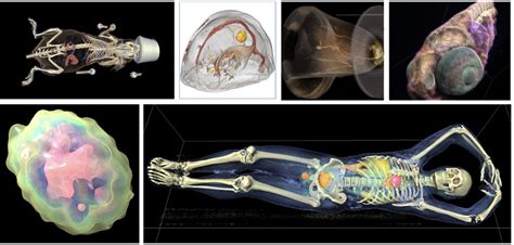 Intel Software On Linkedin How Deep Learning Enables Large Scale