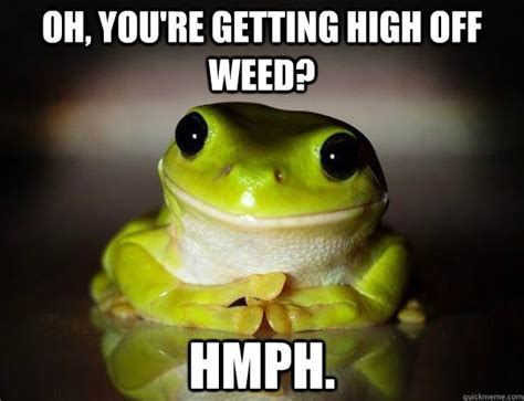 Oh Youre Getting High Off Weed Hmph Fascinated Frog Quickmeme