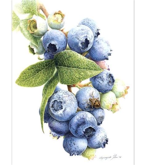 1532 Likes 125 Comments 김명섭 Republic Of Korea 大韓民國 Tinomjk On Instagram 강사전에 전시될