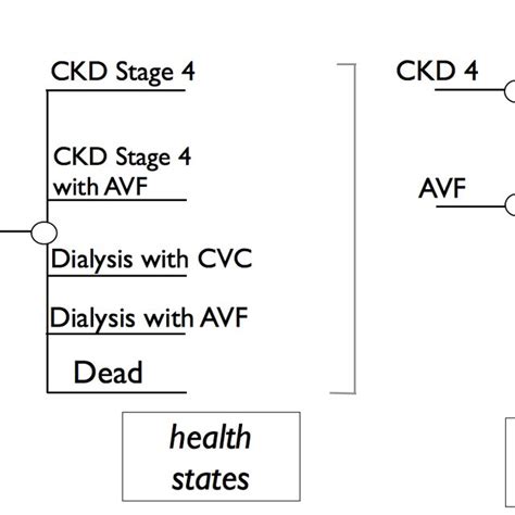 Schematic Representation Of The Decision Analysis Model Download