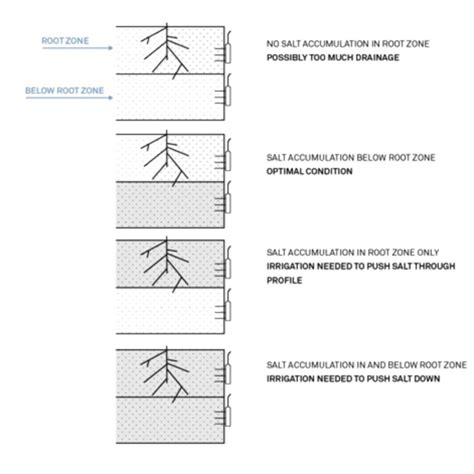 Soil Electrical Conductivity The Complete Guide To Measurements METER Group