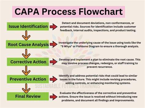 Understanding Capa Corrective And Preventive Actions In Medical