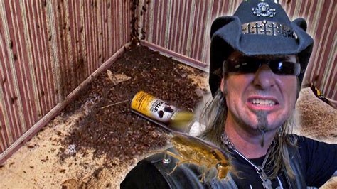 Top 3 Python Captures Think Youve Seen It All Billys Top 3 Python