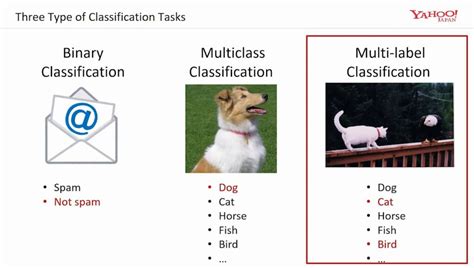 Medical Multi Label Classification With Pytorch And Lightning