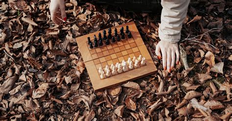 숲에서 체스 게임을하는 사람 사진 Unsplash의 운동 이미지
