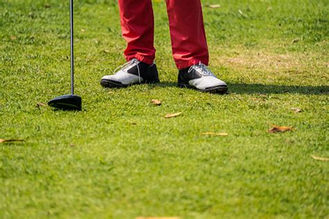 골퍼 컨셉용 골프 코스 그린에 골프볼 그린 잔디 밭 코스에 퍼팅 창의적인 그래픽 디자인의 흐릿한 배경 1에 대한 스톡 사진 및 기타 이미지 Istock