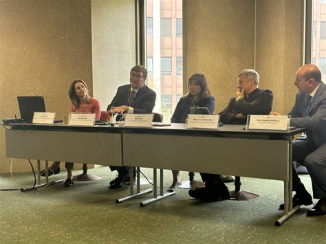 unicc engages in key discussions at wsis 20 forum high level event and