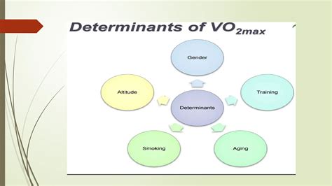 VO2 MAX Exercise Physiology Content Pptx