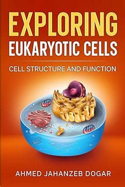 Eukaryotic Cells Interesting Facts You Should Know