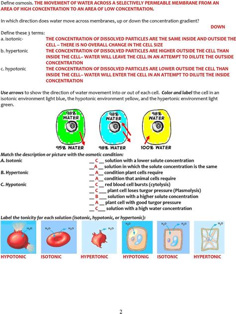 Cell Membrane And Tonicity Worksheet Netvs Db Excel