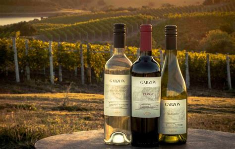 Garzon Wine Evening Cambridge Wine Royston Hertfordshire