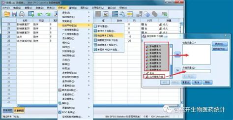 SPSS问卷数据统计分析之项目分析 知乎