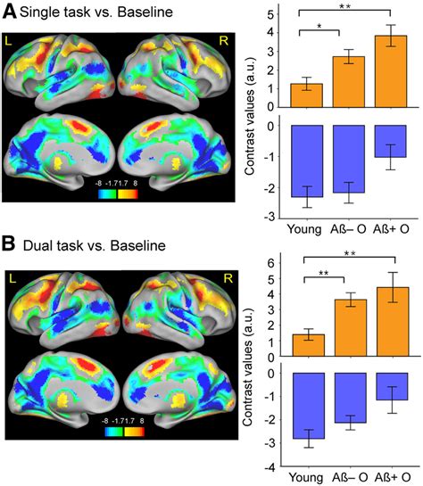 Single Task And Task Switching Fmri Results By Group A Brain