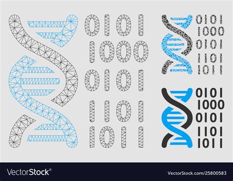 Binary Code Dna