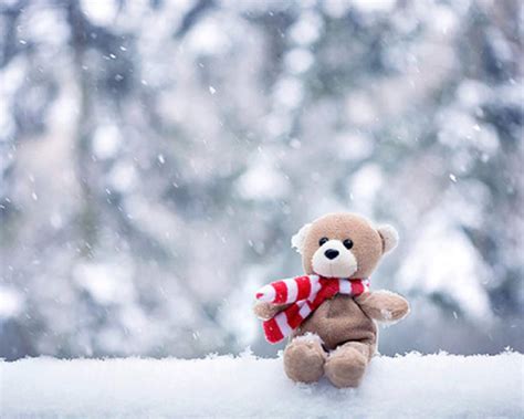 200 Cute Bear Wallpapers