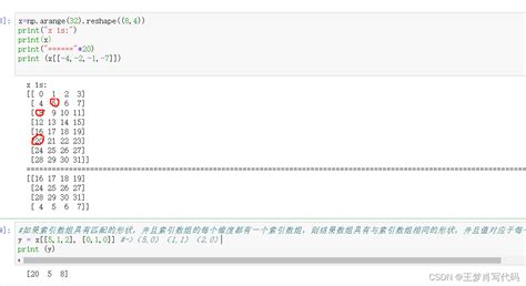 numpy 基础 np array false 什么意思 CSDN博客