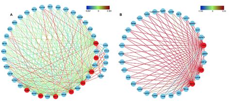 correlation network analysis a correlation analysis of primary ba