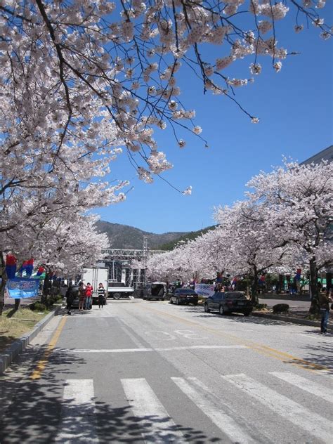 Mokpo National University Office Photos