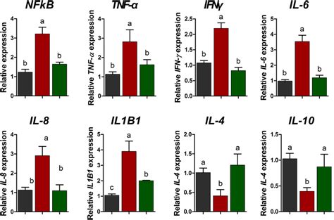 Quantitative Expression Of Genes Encoding Nf κb And Inflammatory
