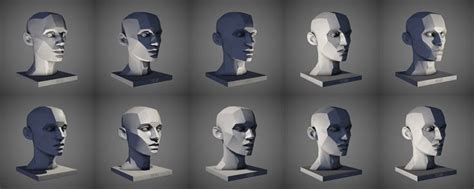 William Nguyen Female Head Light Reference Tool Female Head Learn