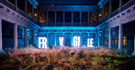 Fragile Il Bo Live
