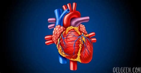 Зүрхний шигдээс болох гэж байгааг бидний бие дараах 6 байдлаар урьдчилан мэдэгддэг Эдгээрийг