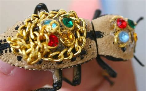 El Maquech Leyenda Maya Del Escarabajo Del Amor Grupo Milenio