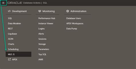 Oracle C Free Developer Release MLE JS Modules Snippets